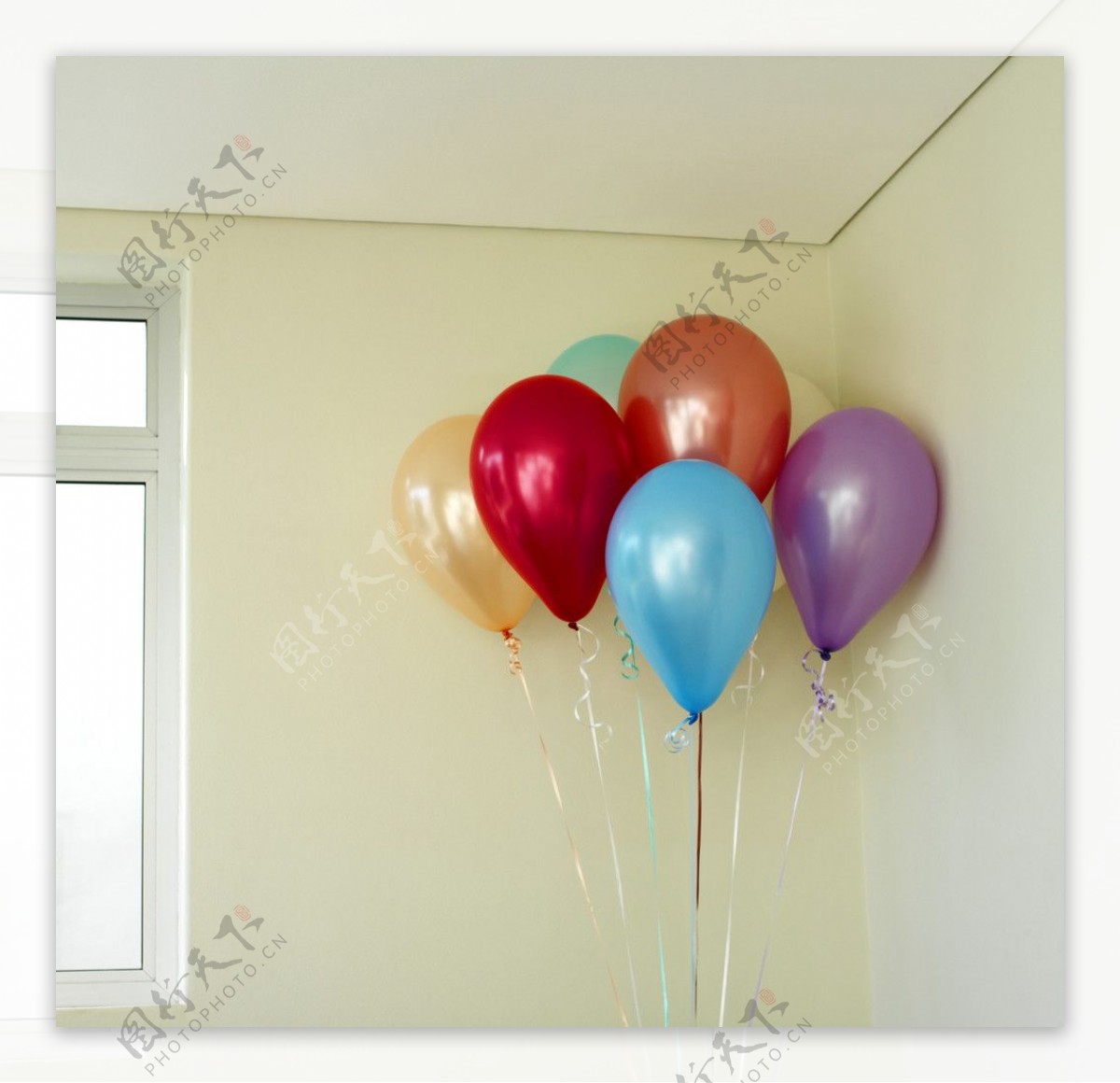 彩色气球图片素材-编号11313408-图行天下