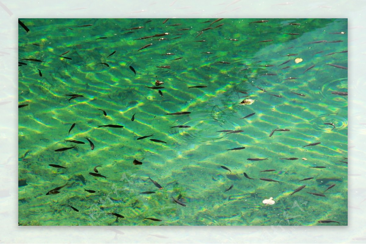 九寨沟风景图片素材-编号11612558-图行天下