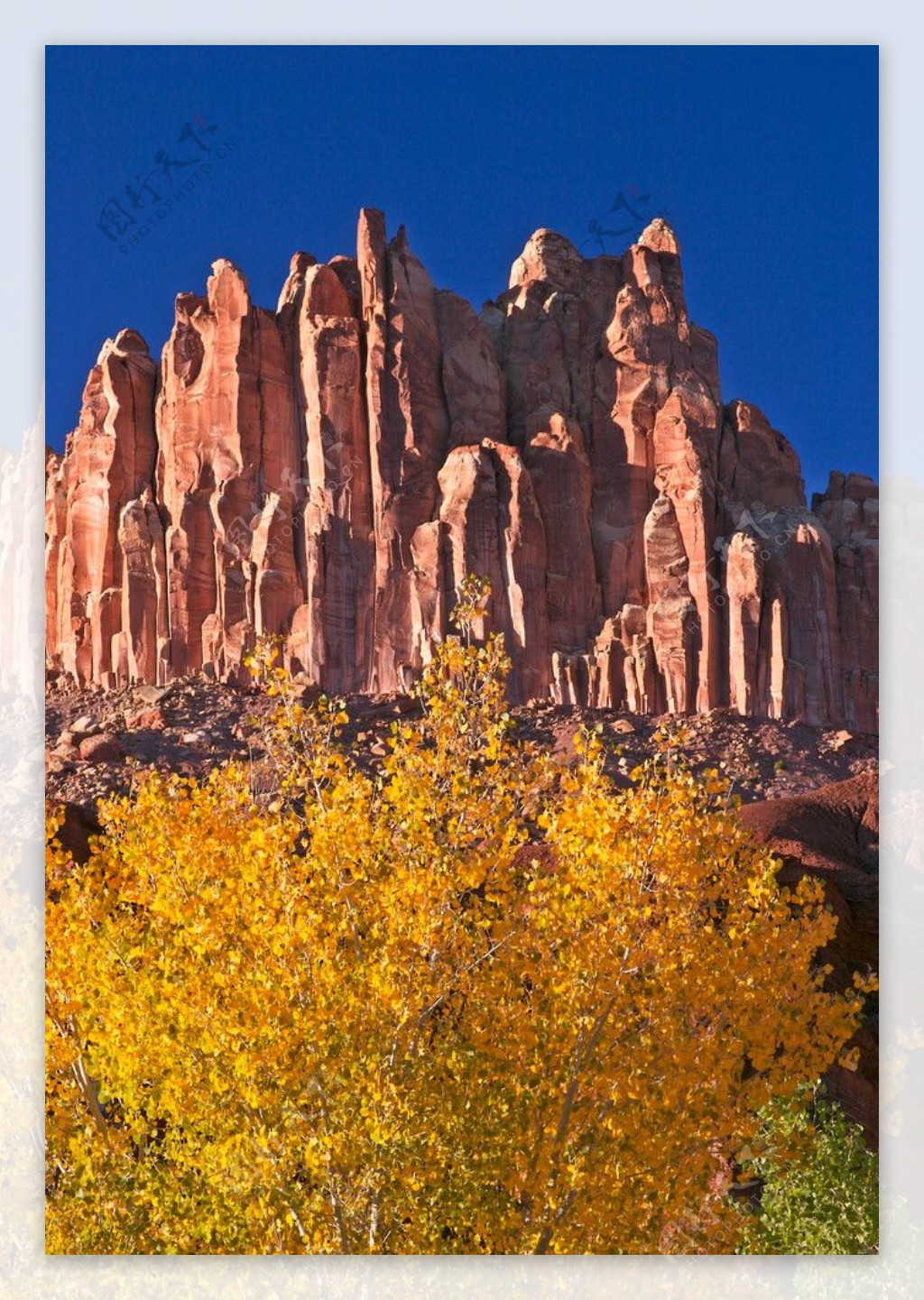 高山峡谷风光图片素材-编号12059678-图行天下