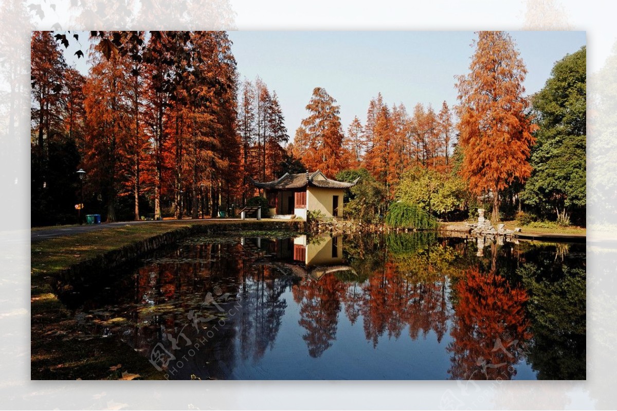 公园秋色1图片素材-编号12675738-图行天下