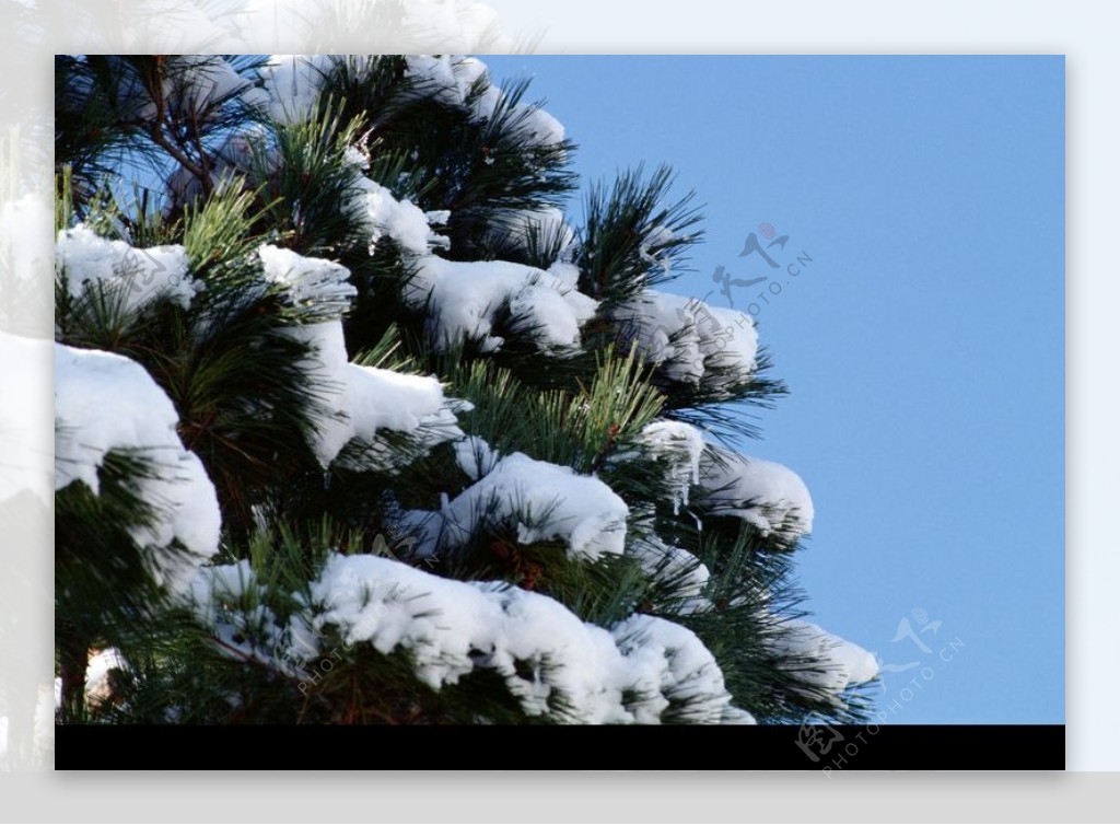 冬季盛景0132图片素材-编号19772478-图行天下