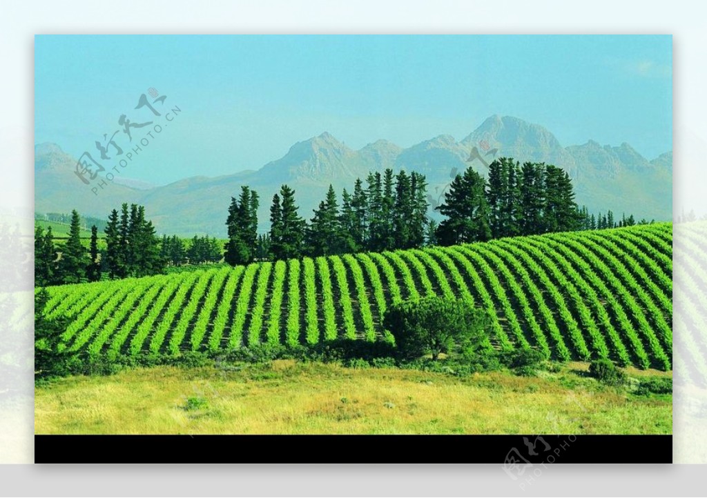 田园风光0059图片素材-编号20103888-图行天下