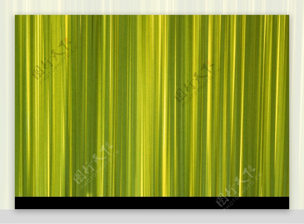 食品香料背景0101图片素材-编号20206628-图行天下