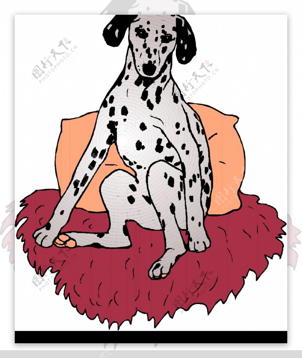 珍稀动物0137图片素材-编号20855628-图行天下