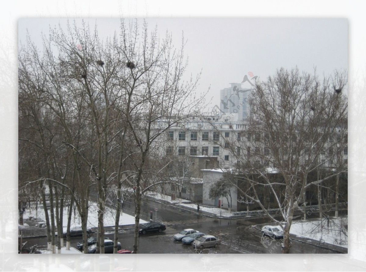 山东大学中心校区雪景图片素材-编号24000088-图行天下