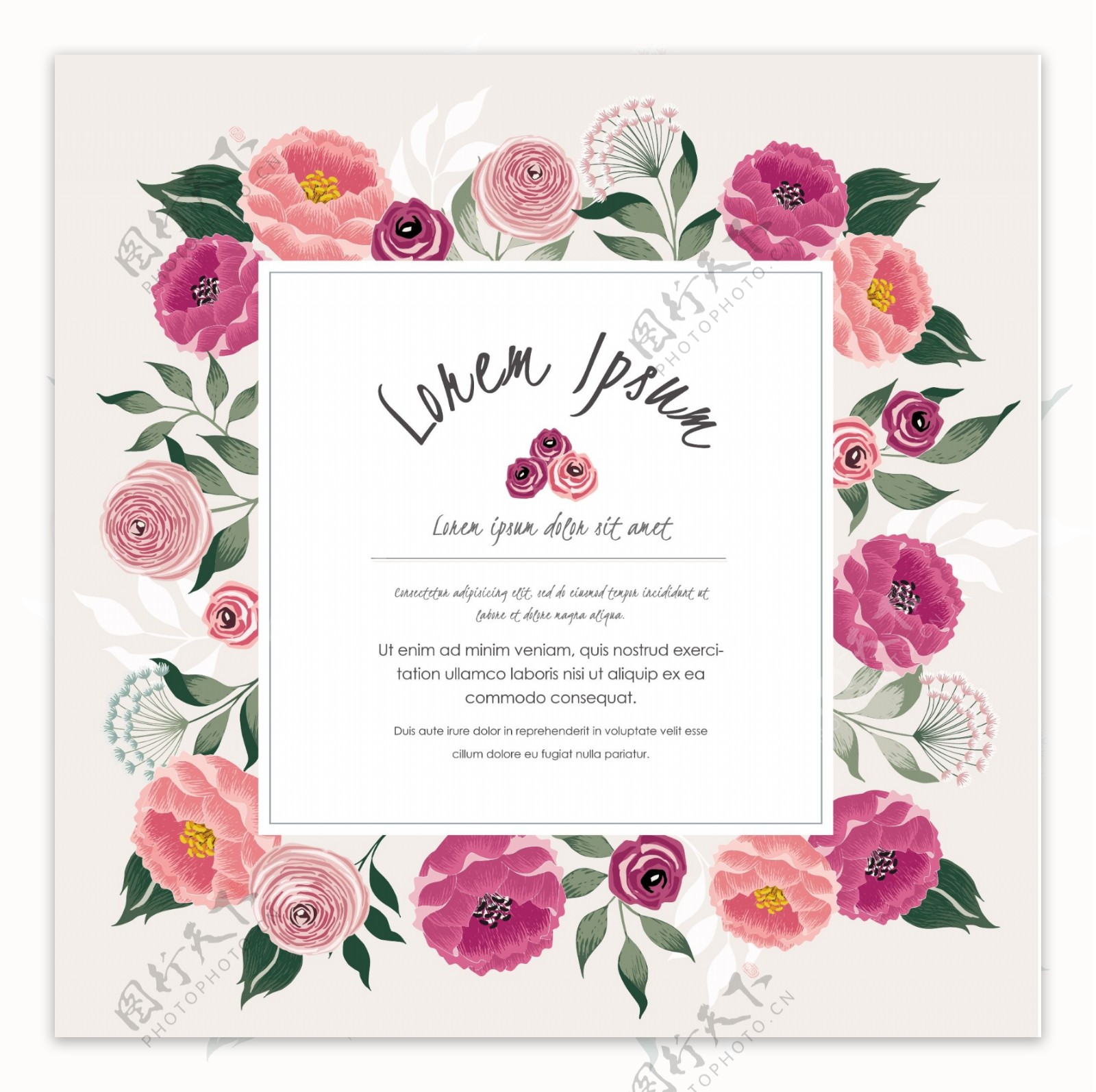 花边框图片素材-编号24084928-图行天下