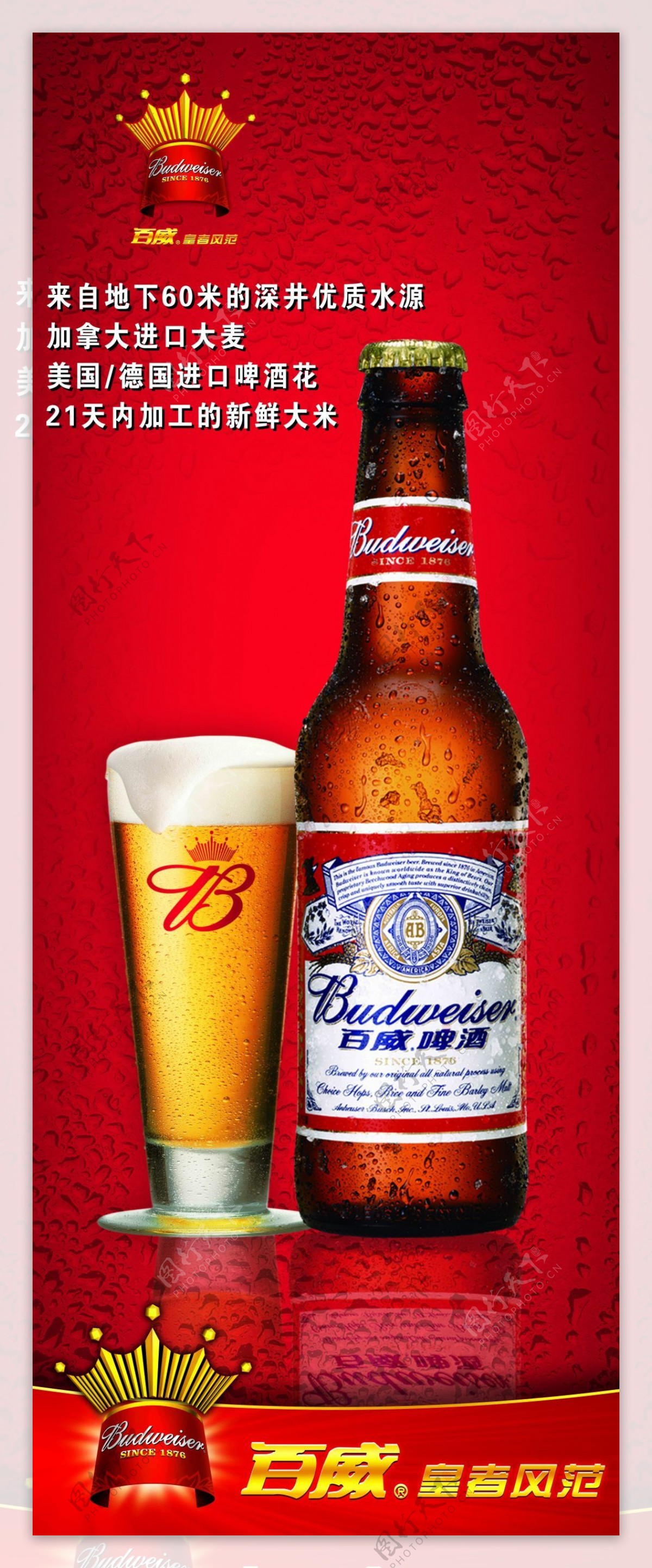 百威啤酒海报广告设计图片素材-编号26792598-图行天下