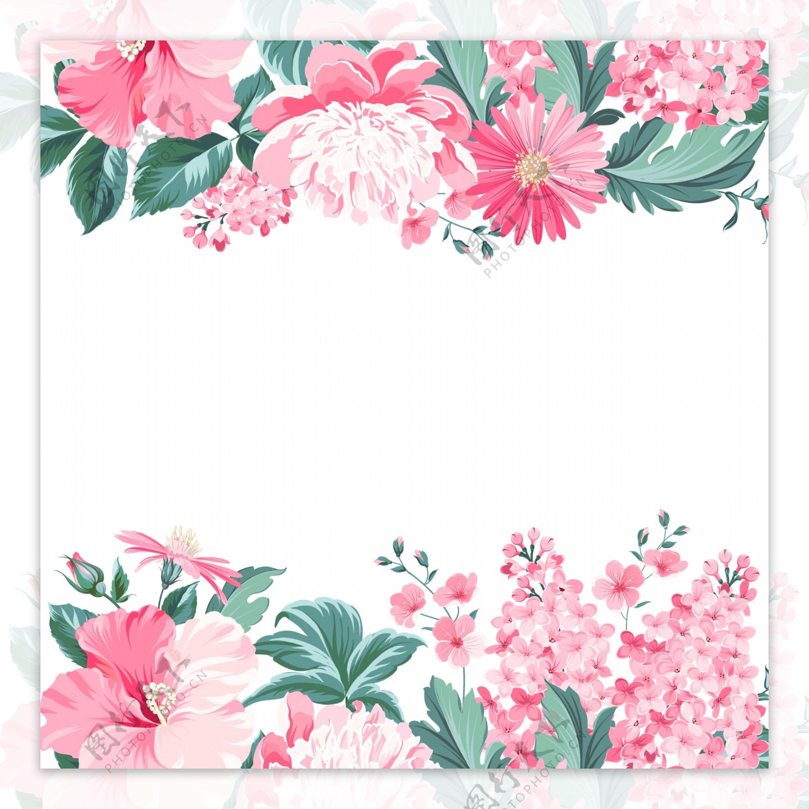 粉色花卉花边图片素材-编号31384348-图行天下