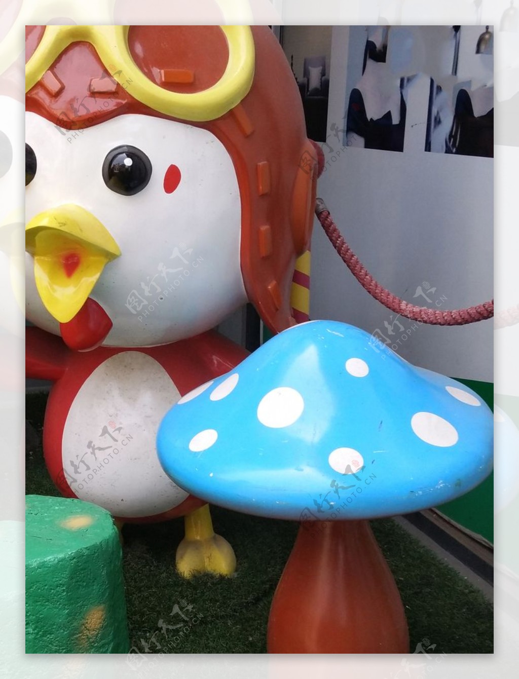 磨菇图片素材-编号39998728-图行天下